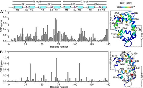 Residue Specific Chemical Shift Perturbation Csp For Ca²⁺ Saturated