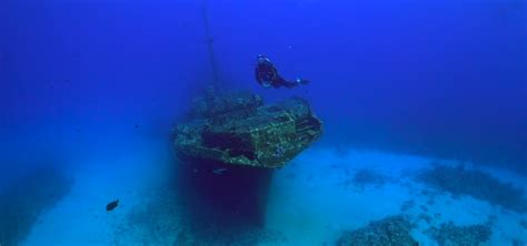 Gerald Rambert On Linkedin Stella Maru Dive Mauritius