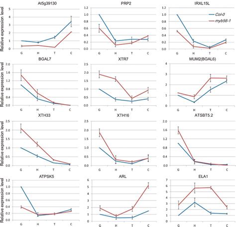 Quantitative Reverse Transcription Polymerase Chain Reaction Analysis