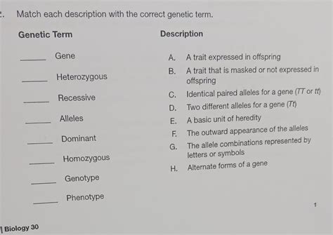 Solved Match Each Description With The Correct Genetic Term