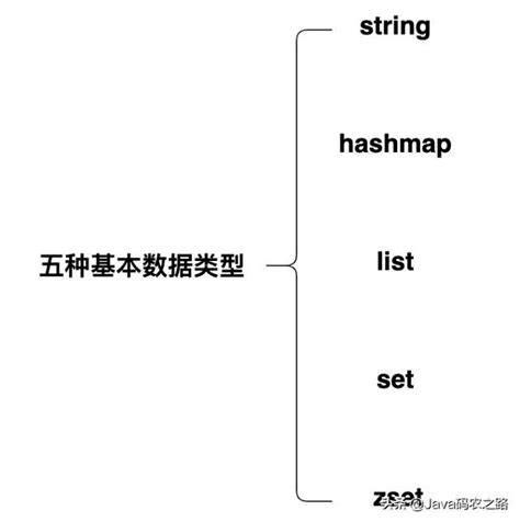 用了这么久的redis，你懂它吗？ 乐耶园