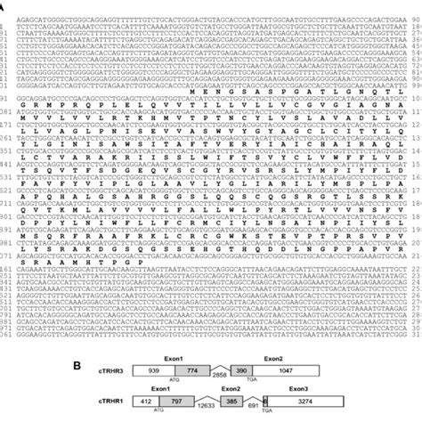 A The Full Length Cdna And Amino Acid Sequences Of Chicken Trhr3 B