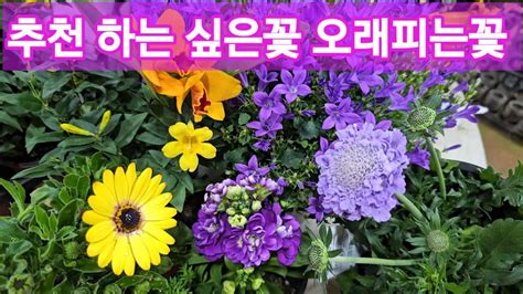 6가지 추천하고 싶은꽃 긴기아난 카틀레아 크리스탈드림 Youtube