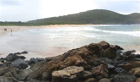 Booti Booti National Park | Learn more | NSW National Parks