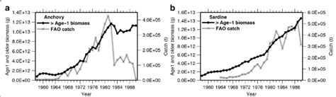 Comparison Between Model Simulation Results And Observations For Adult