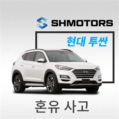Sh모터스 부들부들 거리며 출력 이상 혼유 자동차 정비현대 투싼 디젤 휘발유 혼유 부천 혼유정비 1급 공업사