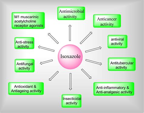 Exploring The Diverse Biological Frontiers Of Isoxazole A