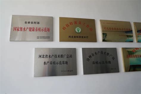 南皮县乐然家庭农场养殖休闲打造渔业发展新模式 澎湃号政务 澎湃新闻 The Paper