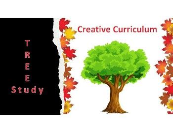 Creative Curriculum Tree Study Question Of The Day By Amanda W TPT