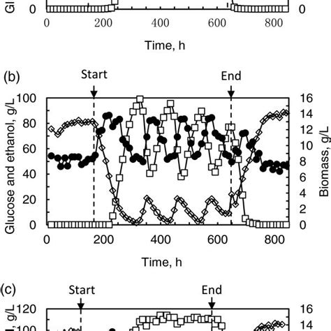 Fermentation Parameters For Continuous Ethanol Fermentations By S Download Table