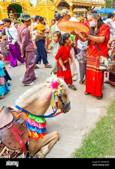 Pai Nord Thailand April 4 2023 Eine Menge Schaut Zu Wie Ein Pferd