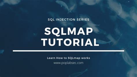 Sqlmap Tutorial A Comprehensive Guide Popdocs Ethical Hacking