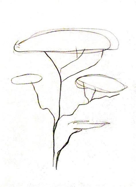 How To Draw A Tree Tutorial Easy Charcoal Drawings Tree Drawing