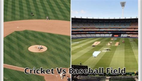 Cricket Vs Baseball Bat And Ball Games Comparison And Difference