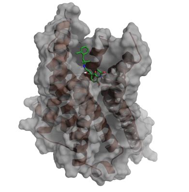 Molecular Docking Colab Tieu Long Phan