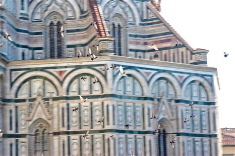 Exploring With Zoe Ann Photo