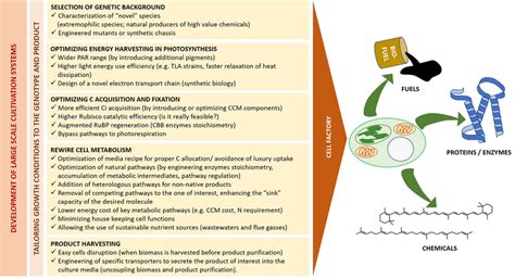 Microalgae As Cell Factories Heading To A Sustainable Industrial Download Scientific Diagram