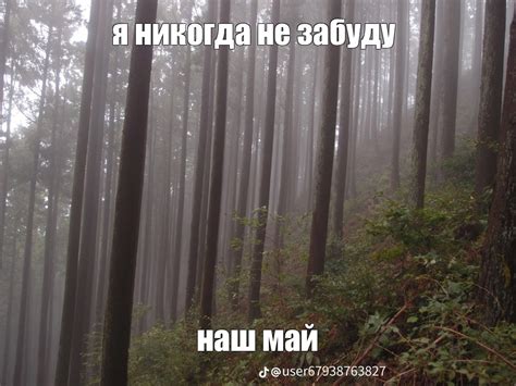 Мем я никогда не забуду наш май Все шаблоны Meme