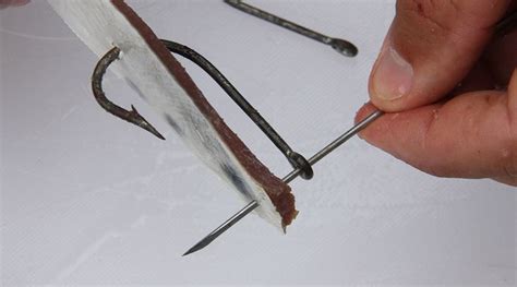 Pin On Fishing