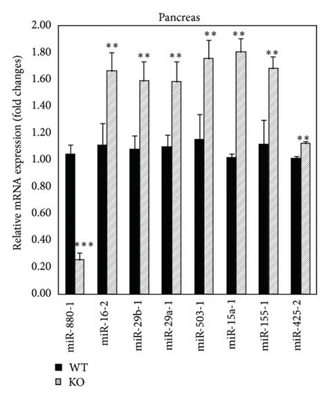 Validation Of Pcr Array Data By Rt Qpcr Rt Qpcr Analysis Was Performed Download Scientific
