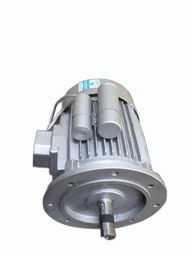 Flange Mounted Electric Motor 3 Hp At ₹ 10500piece In Rajkot Id