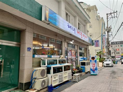 통영 다찌 맛집 해산물 코스요리 해녀해물다찌 솔직후기쯔양맛집 네이버 블로그