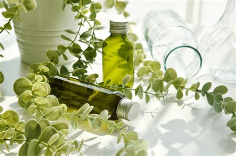 녹색 화장품 병 용기 포장 녹색 허브 잎 그림자와 빛 효과 유기농 브랜딩 모형을위한 빈 라벨 내추럴 스킨 케어 뷰티 제품 컨셉