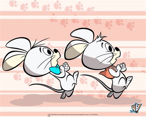 Pixie And Dixie And Mr Jinks Wallpapers Wallpaper Cave