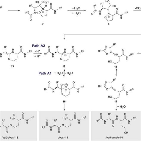Pdf Spontaneous Head To Tail Cyclization Of Unprotected Linear