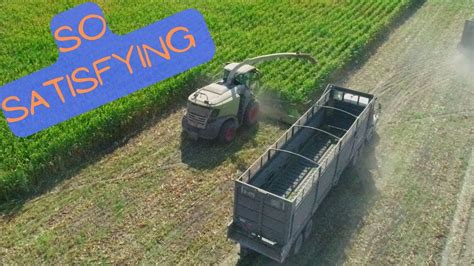 Silage Chopping 2022 Youtube