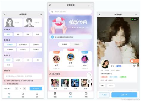 树洞陪聊系统源码陪聊陪玩树洞陪陪公众号开发源码交付树洞系统源码搭建教程树洞源码 Csdn博客