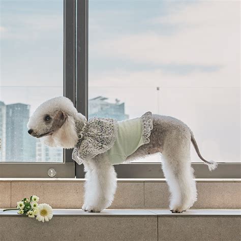 리틀 프린세스 탑 3color 디자인포도그