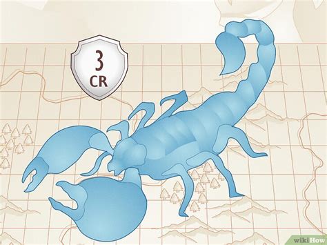 Polymorph 5e Rules Spell Options And Player Guide For Dandd