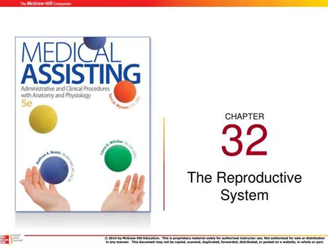Ppt The Reproductive System Powerpoint Presentation Free Download Id