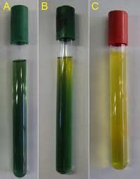 Ch 13 Nonfermentative Gram Negative Bacilli And Similar Bacteria