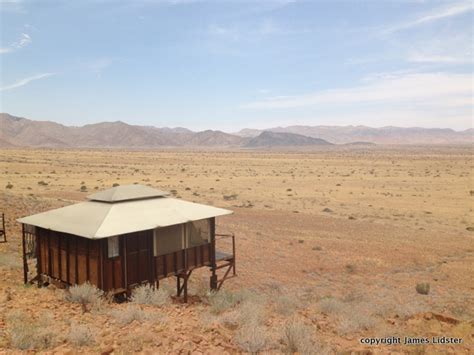 James Lidster From His Just Completed Tour To Namibia A Wings Birding