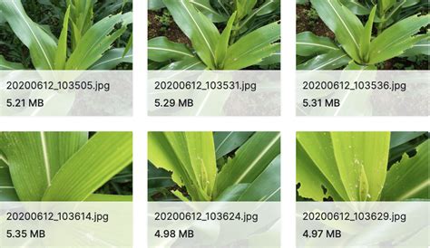 农业相关图像分类、图像识别等数据集资源汇总 知乎