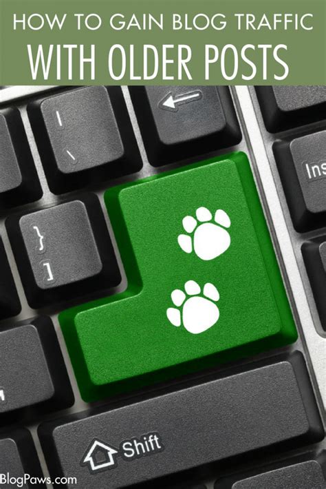 How To Gain More Blog Traffic By Updating Older Blog Posts BlogPaws