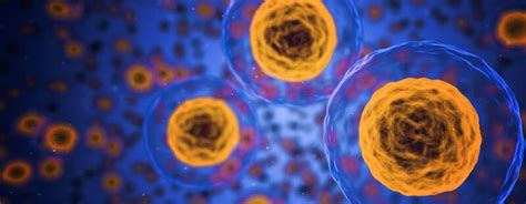 Optimize Your Cell Viability And Cytotoxicity Assays With Spectramax® Microplate Readers