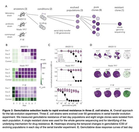 raya khanin on linkedin bacterial resistence chemotherapy