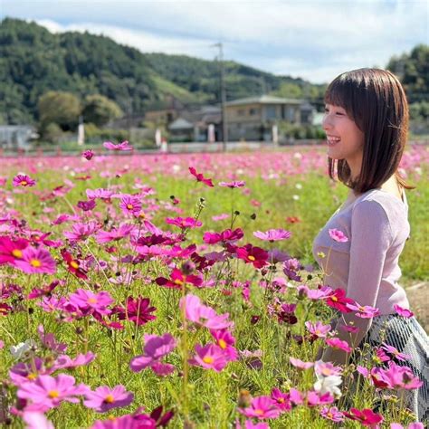 白木愛奈さんのインスタグラム写真 白木愛奈instagram「藤枝市岡部町 のコスモス畑 2週間ほど前に日曜版で紹介し、今日も渡部さん