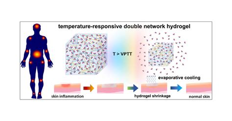 Temperature Responsive Double Network Cooling Hydrogels Acs Applied Polymer Materials