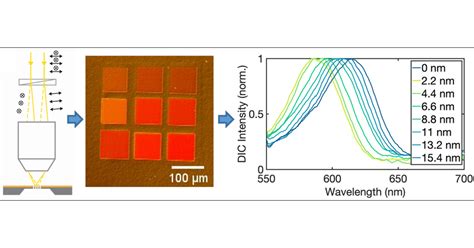 Differential Interference Contrast Based Interrogation Of Plasmonic Gold Nanohole Arrays For