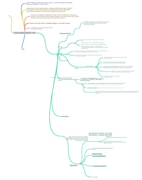Protein Translational Modifications，ptms Coggle Diagram