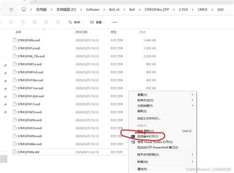 Keil无法查看外设寄存器（生成sfr文件）keil没有sfr文件 Csdn博客