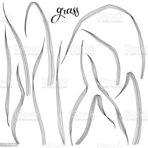 Grasssketchhand 그려진 윤곽선 벡터 일러스트 흰색 배경에 디자인에 대 한 고립 된 꽃 요소 0명에 대한 스톡 벡터