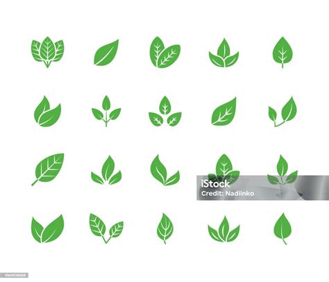잎 평면 모양 아이콘입니다 식물 나무 나뭇잎 일러스트 유기농 식품 천연 소재 바이오 재료 에코 엠 블 럼의 서명 한다 단단한 실루엣 픽셀 완벽 한 64 X 64 0명에 대한