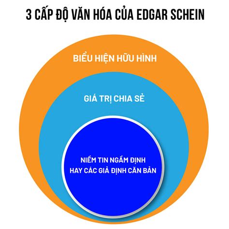 Lựa chọn mô hình văn hóa doanh nghiệp nào phù hợp với tổ chức của bạn CHIA SẺ KIẾN THỨC