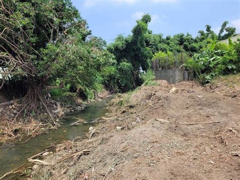 大雅區塔蓮溝土堤改建完工 保障耕地兼防洪 民生電子報