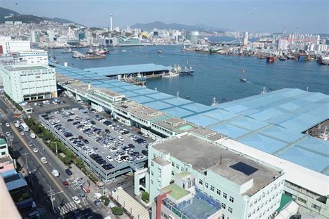 부산공동어시장 현대화 사업 속도낸다